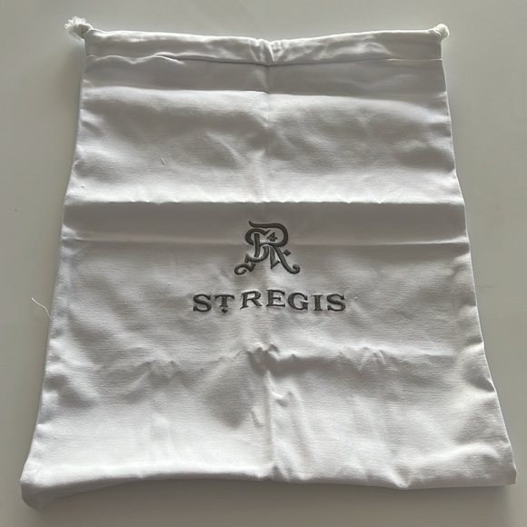 Shoes | New St Regis Shoe Bag | Poshmark